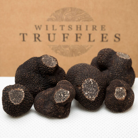 Truffle Shop - Buy Truffles Online - Wiltshire Truffles