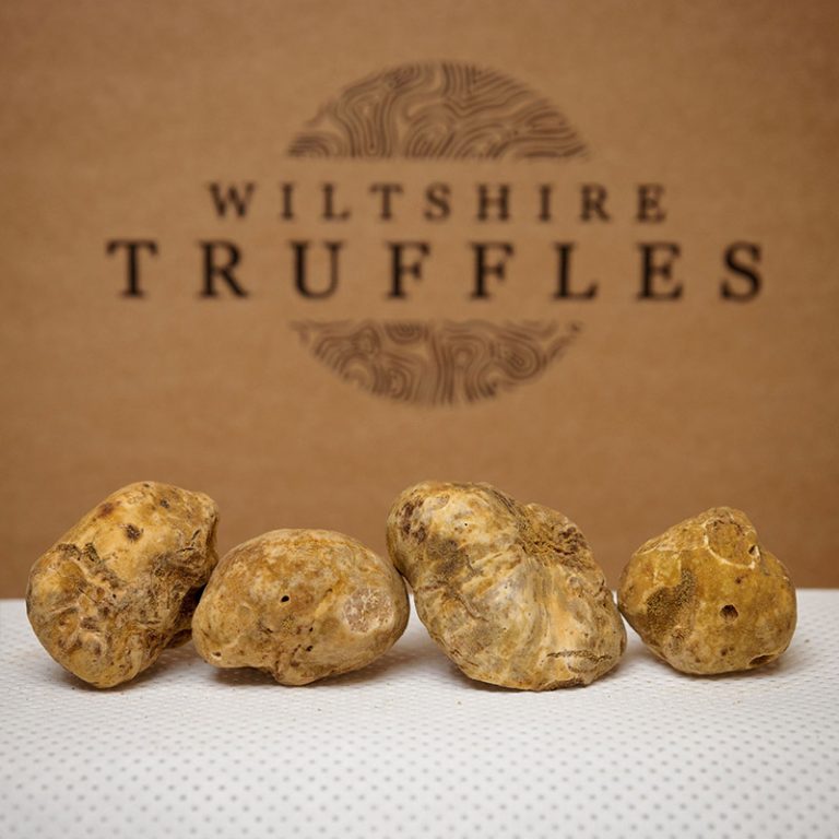 Truffle Shop - Buy Truffles Online - Wiltshire Truffles